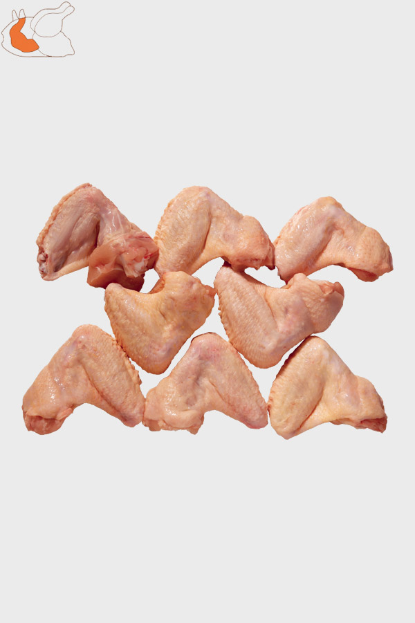 Kanat Grubu – Gürsoy Gıda